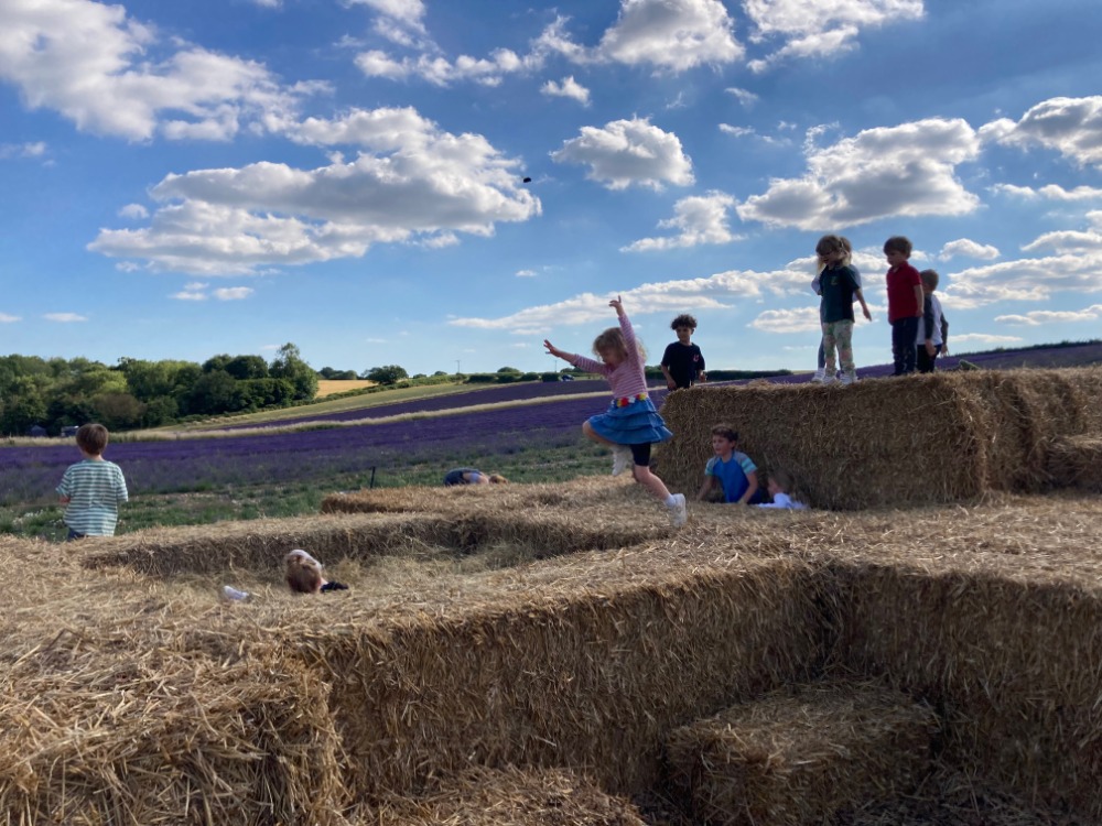 Picnic Event – Lordington Lavender